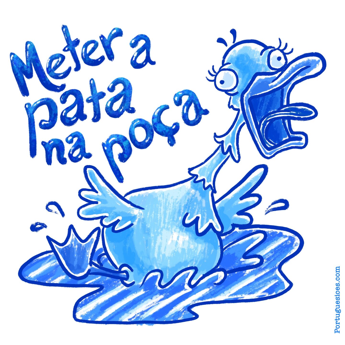Meter a pata na poça – Portuguesices